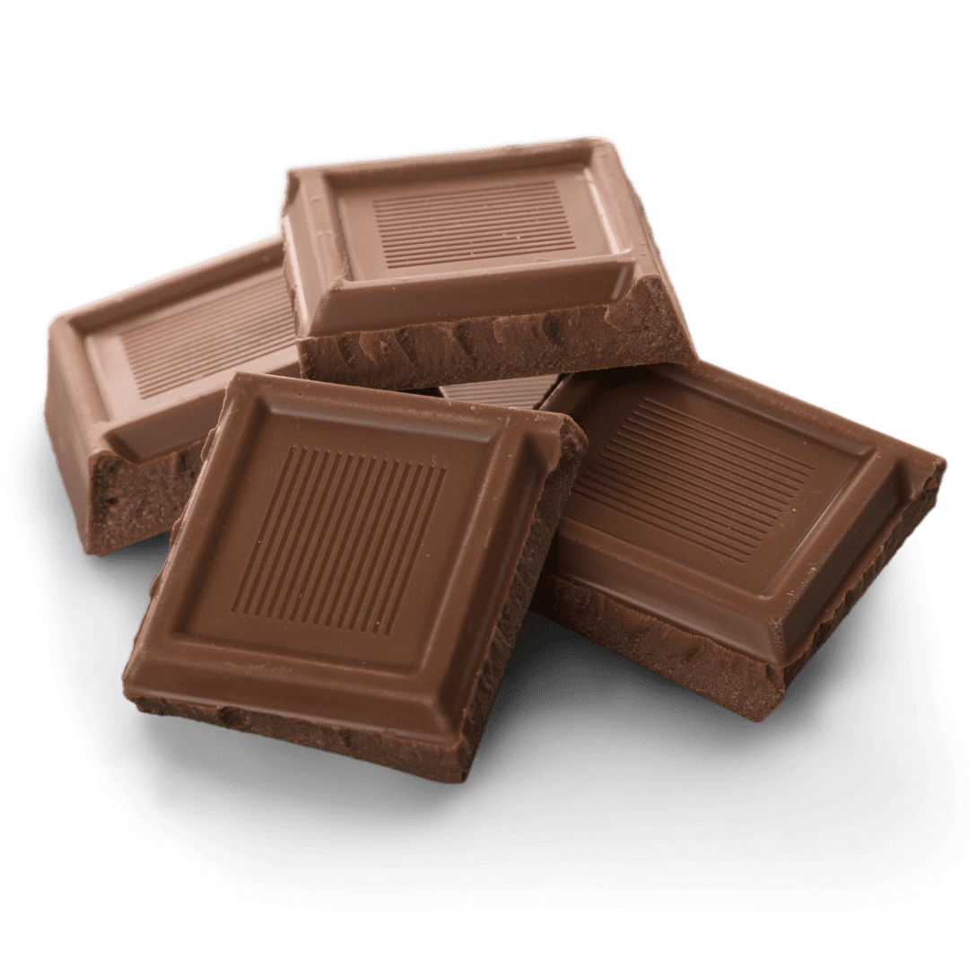 Chocolate Factory Chocotopia | Chocolate Experience Center